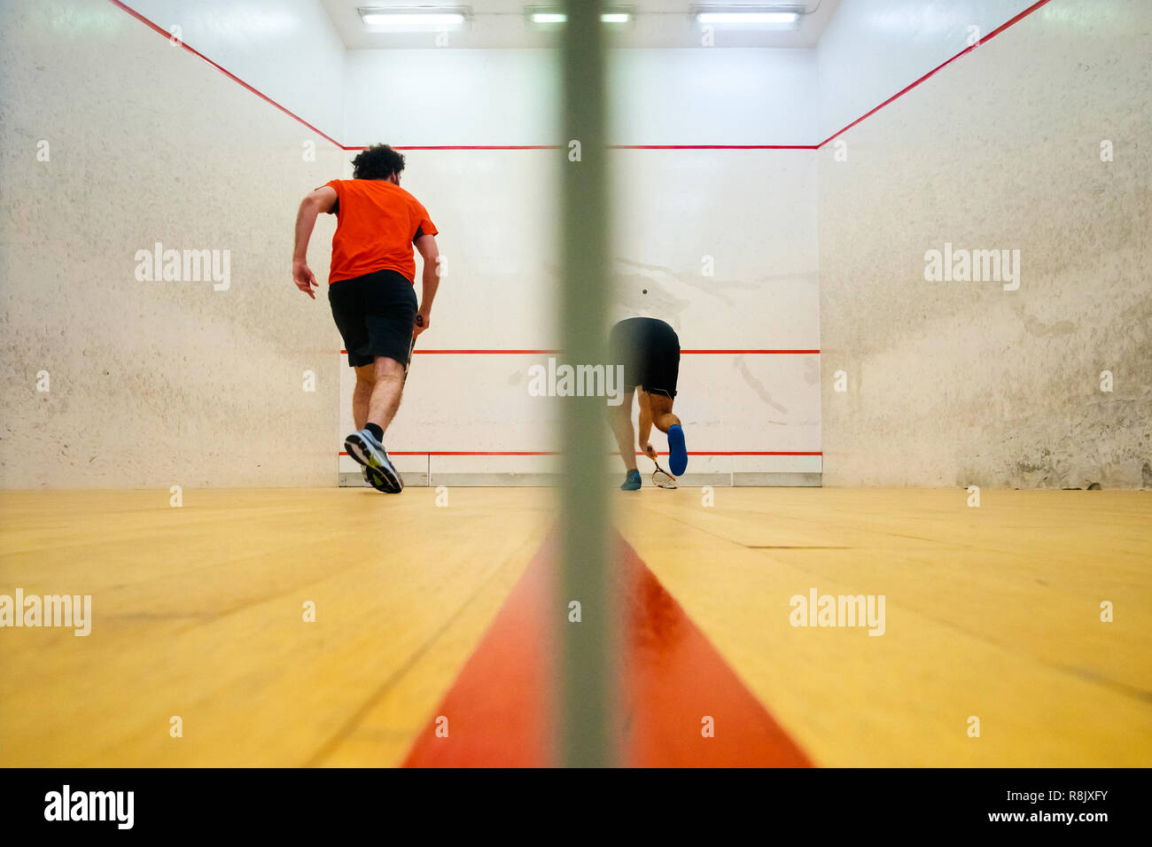 Fitness racket adult squash hi-res stock photography and images - Alamy