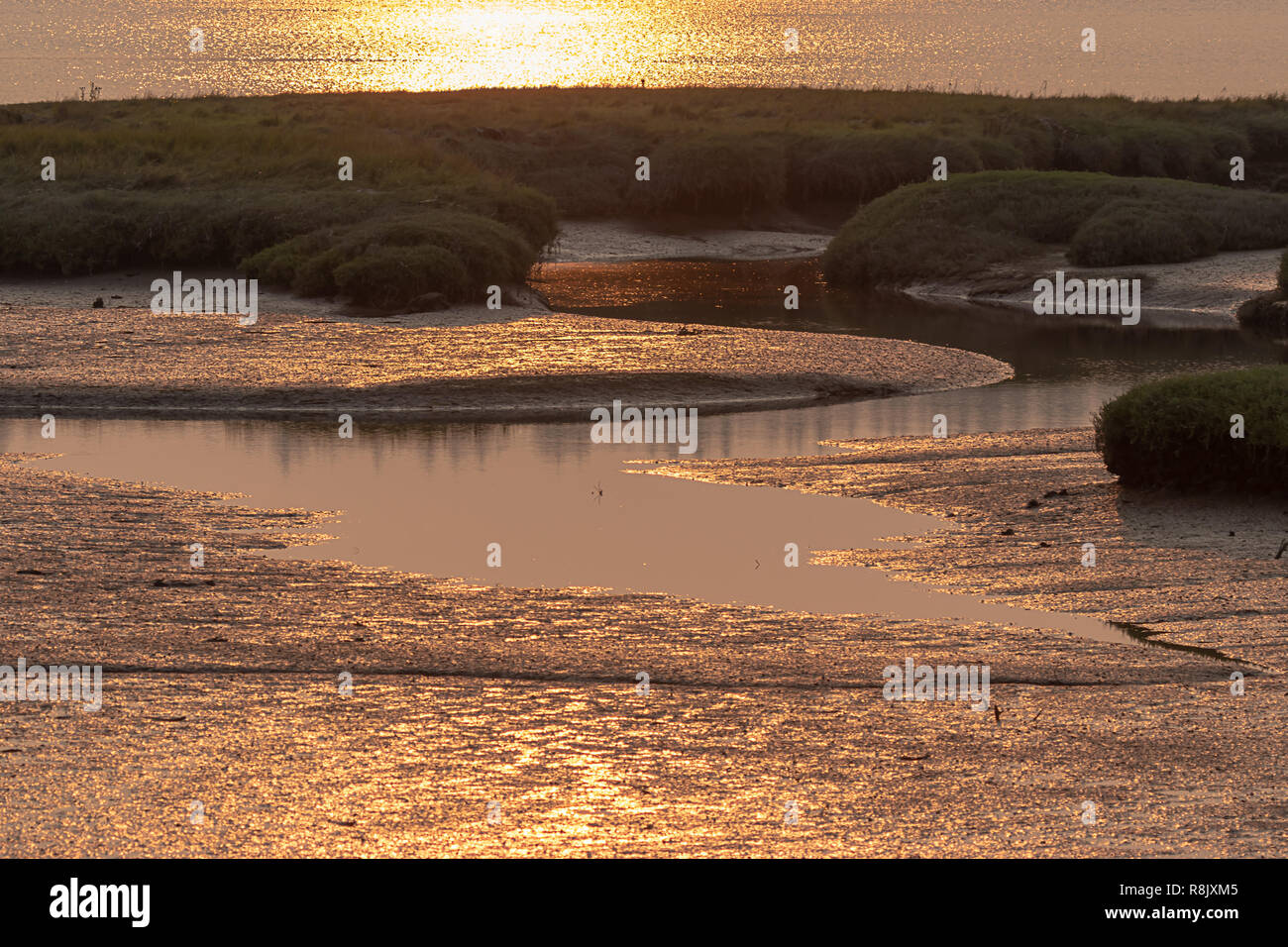sunset wetlands with mud and pools Stock Photo - Alamy