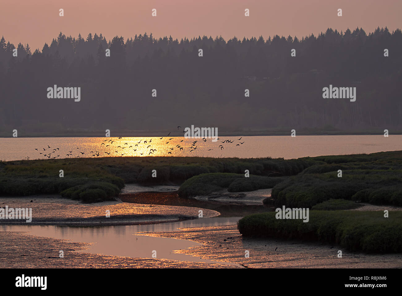Belfair washington hi-res stock photography and images - Alamy
