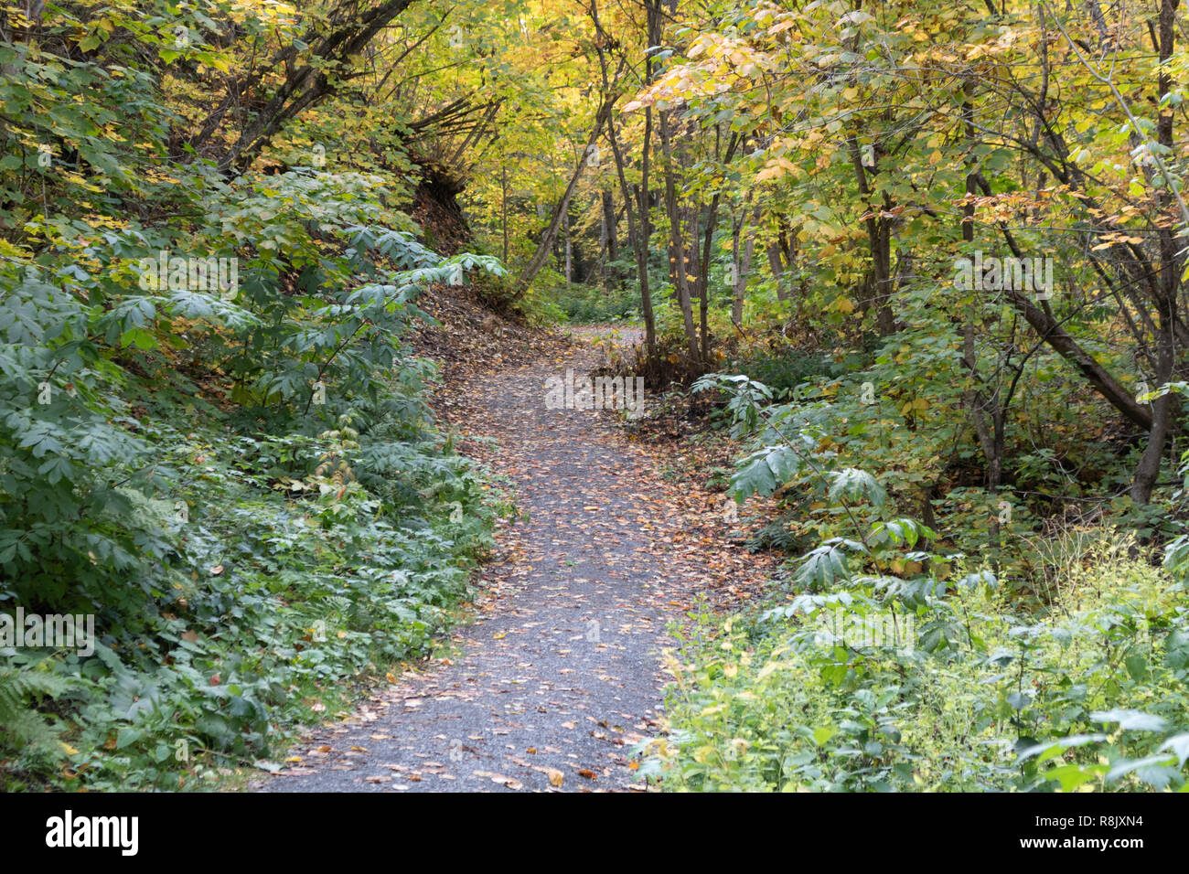 Curved trail hi-res stock photography and images - Alamy