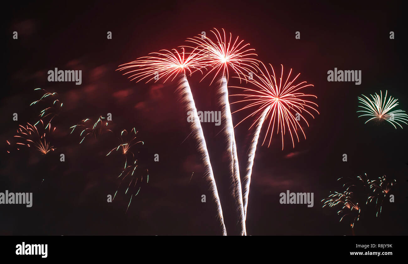 Colorful Glowing Blooming Flowers bursting pattern fireworks light up ...