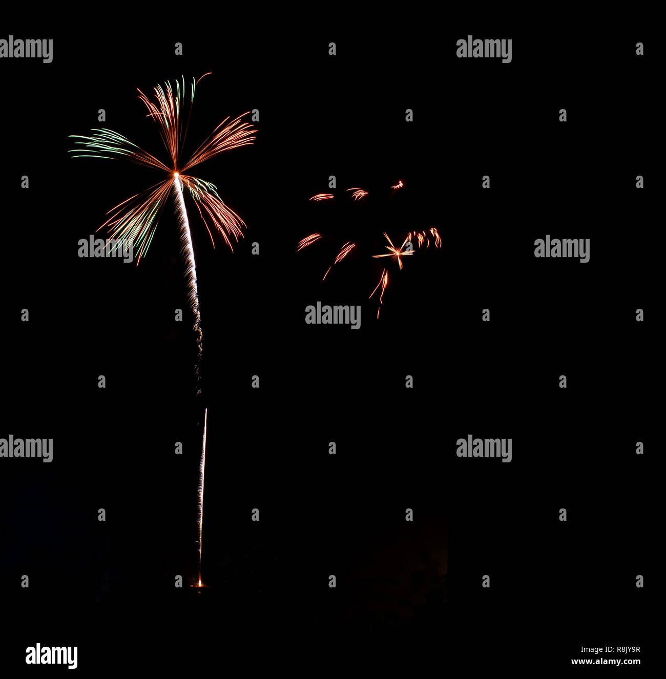 Colorful Glowing Blooming Flowers bursting pattern fireworks light up ...