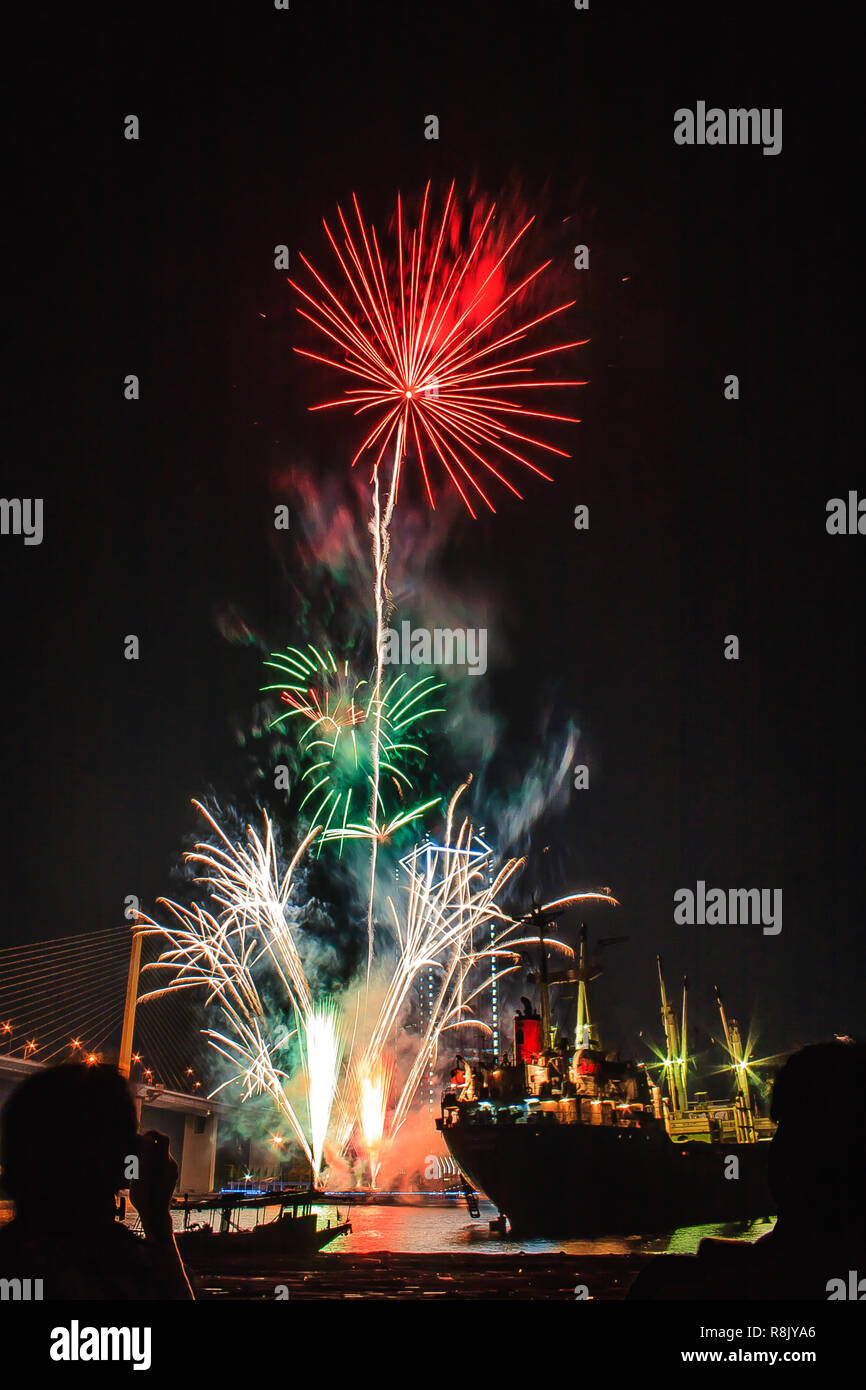 Colorful Glowing Blooming Flowers bursting pattern fireworks light up ...
