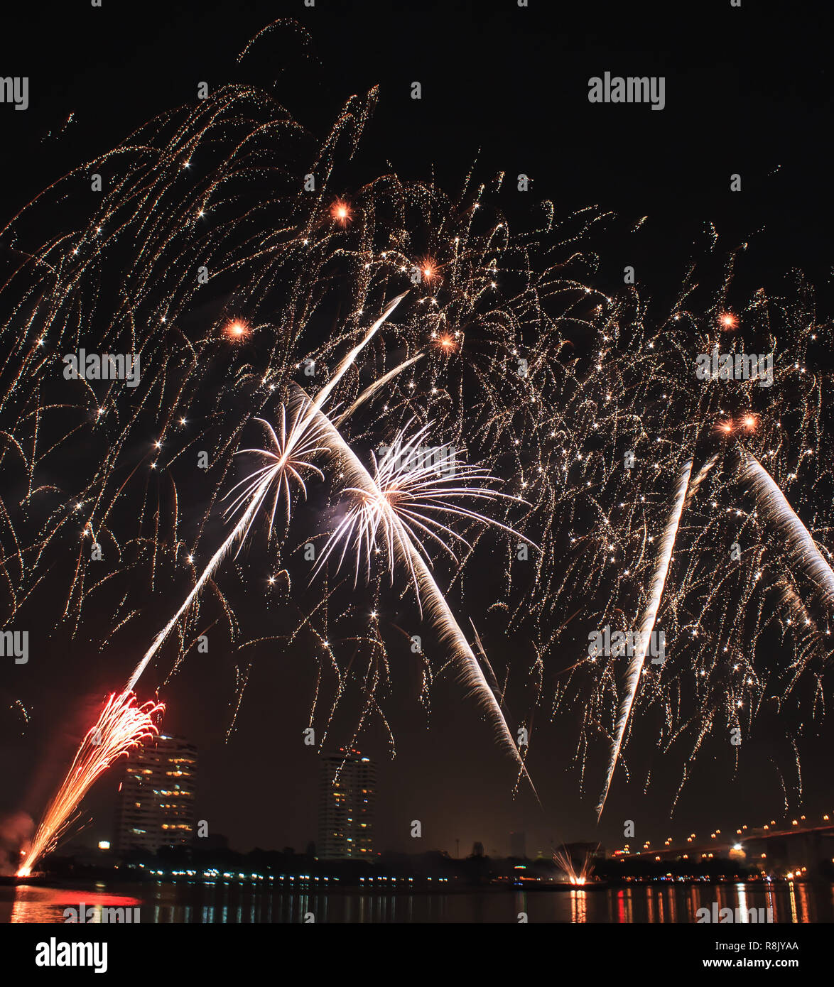 Majestic Glowing Colorful Tropical Coconut trees pattern fireworks ...