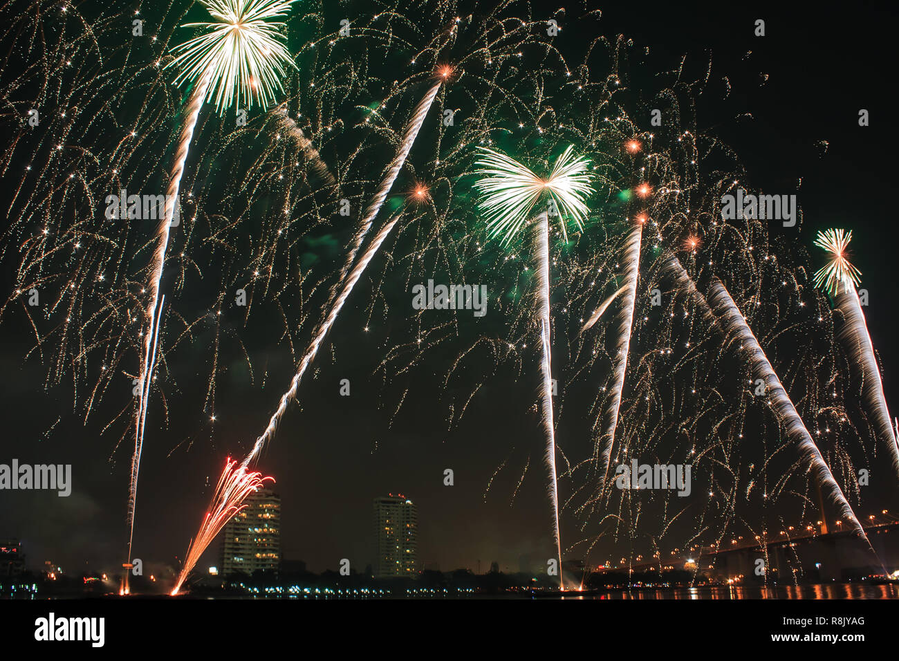 Majestic Glowing Colorful Tropical Coconut trees pattern fireworks ...
