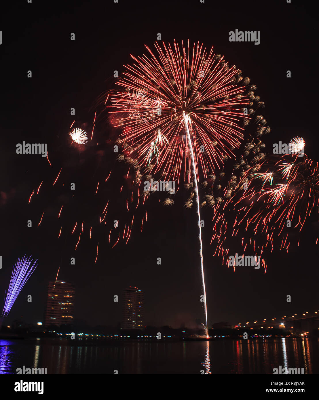 Colorful Red Blooming Flower petals falling pattern fireworks light up ...