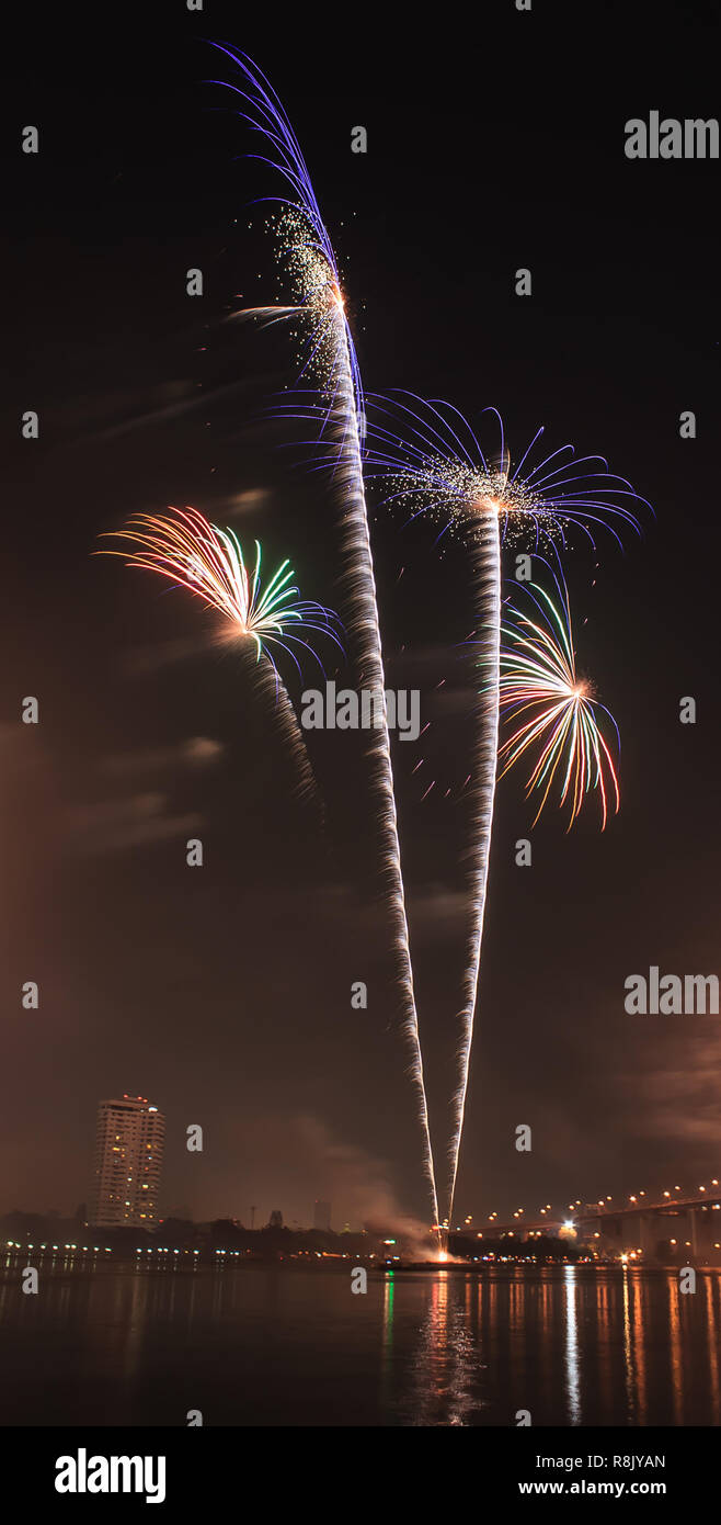 Colorful Glowing Blooming Flowers bursting pattern fireworks light up ...