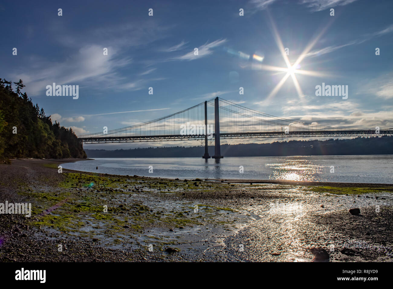 Tacoma narrows park hi-res stock photography and images - Alamy