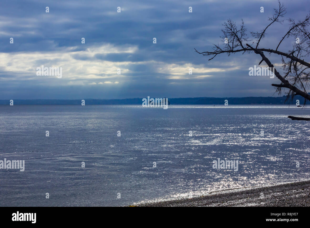 Puget sound lumber hi-res stock photography and images - Alamy