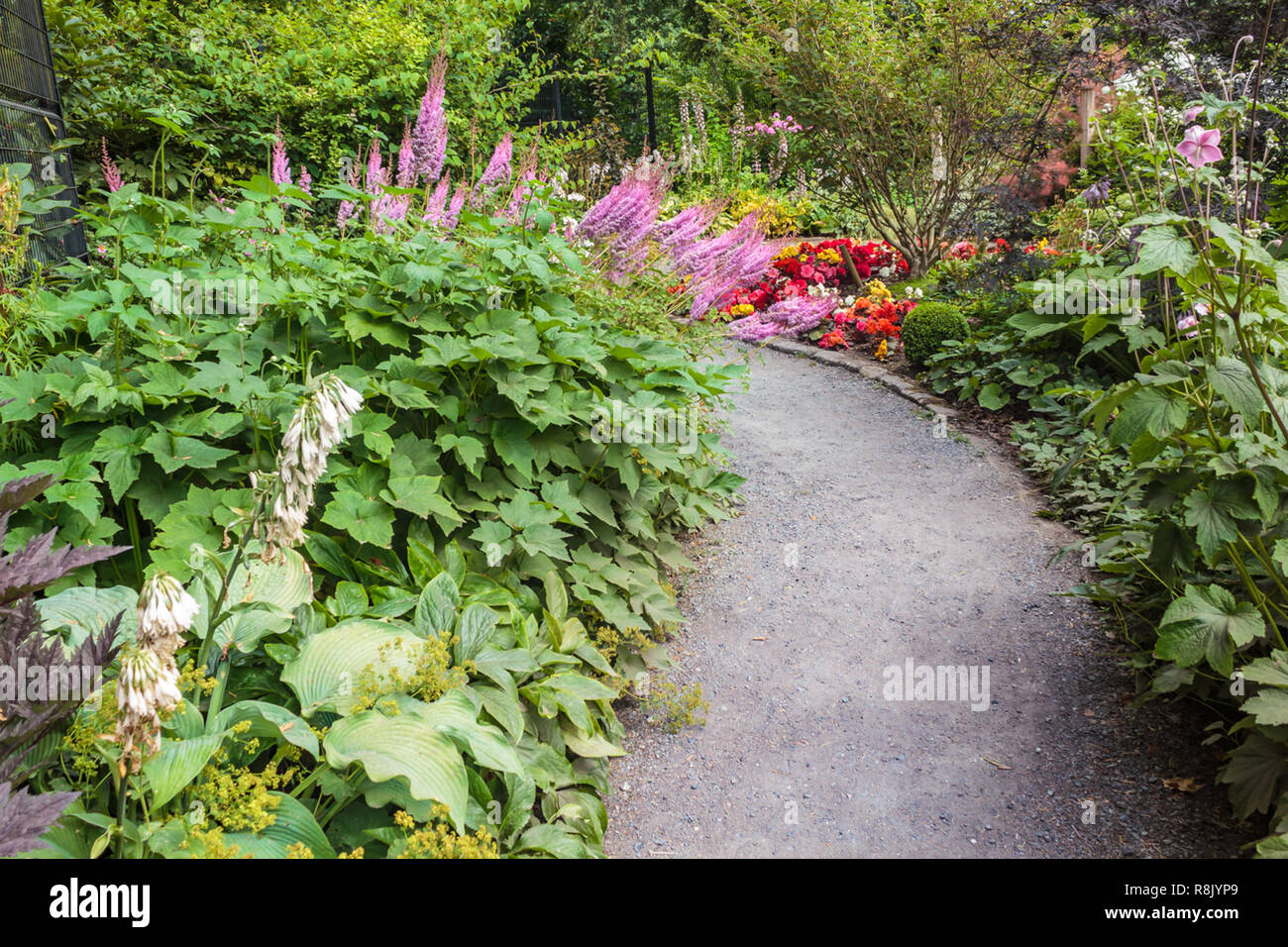 beautiful walking path through flowers and plants Stock Photo - Alamy