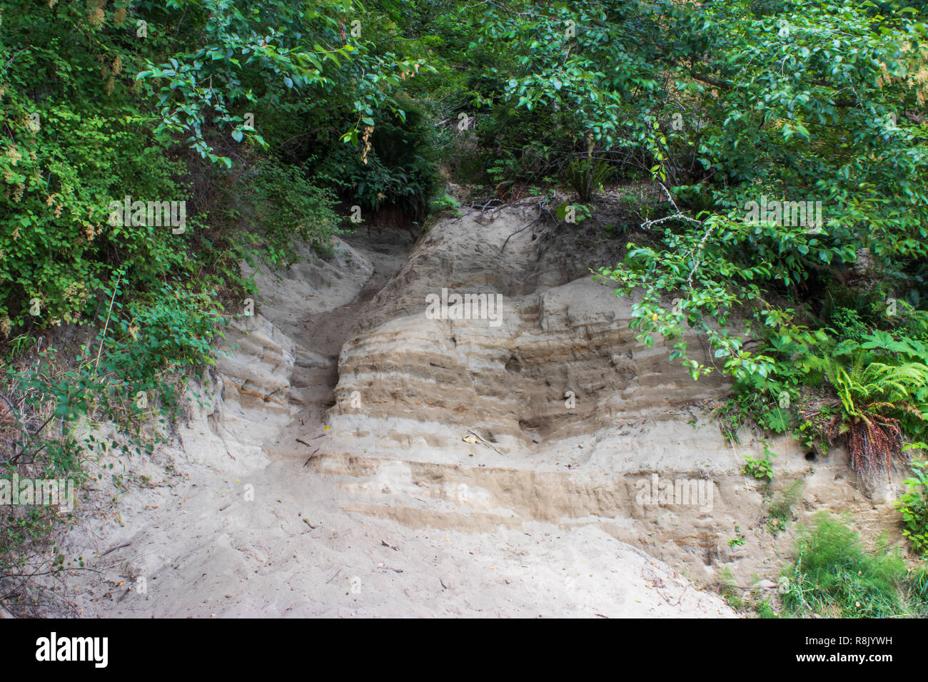 High cliffs overgrown green hi-res stock photography and images - Alamy
