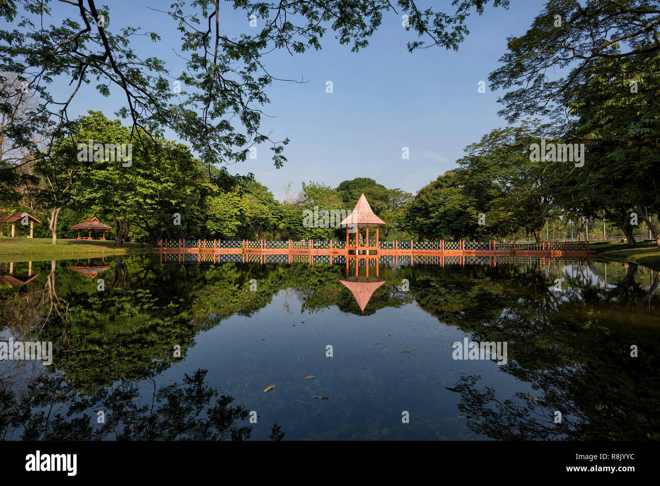 Water reflections at Taman Tasik, in Taiping, Perak, Malaysia - A ...