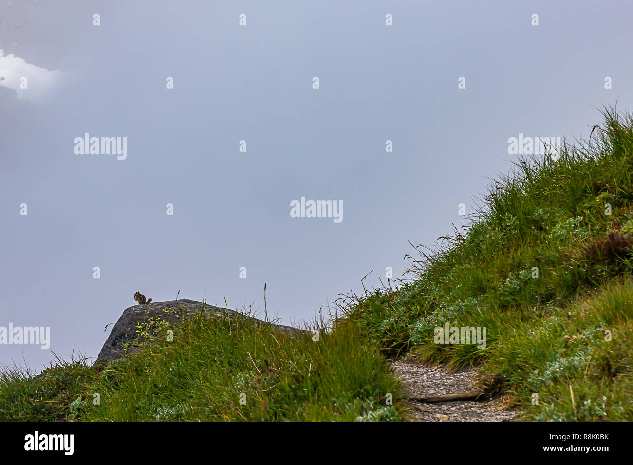 lush dew covered meadow with path leading to foggy lookout with ...