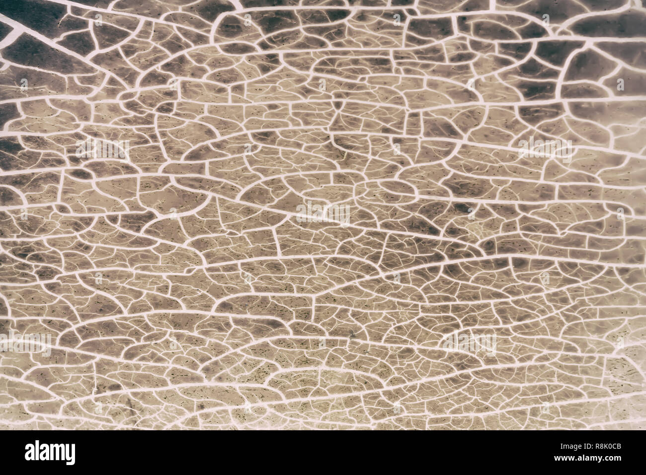 Abstract cracked pattern on dry plastic surface texture.Cracking ...