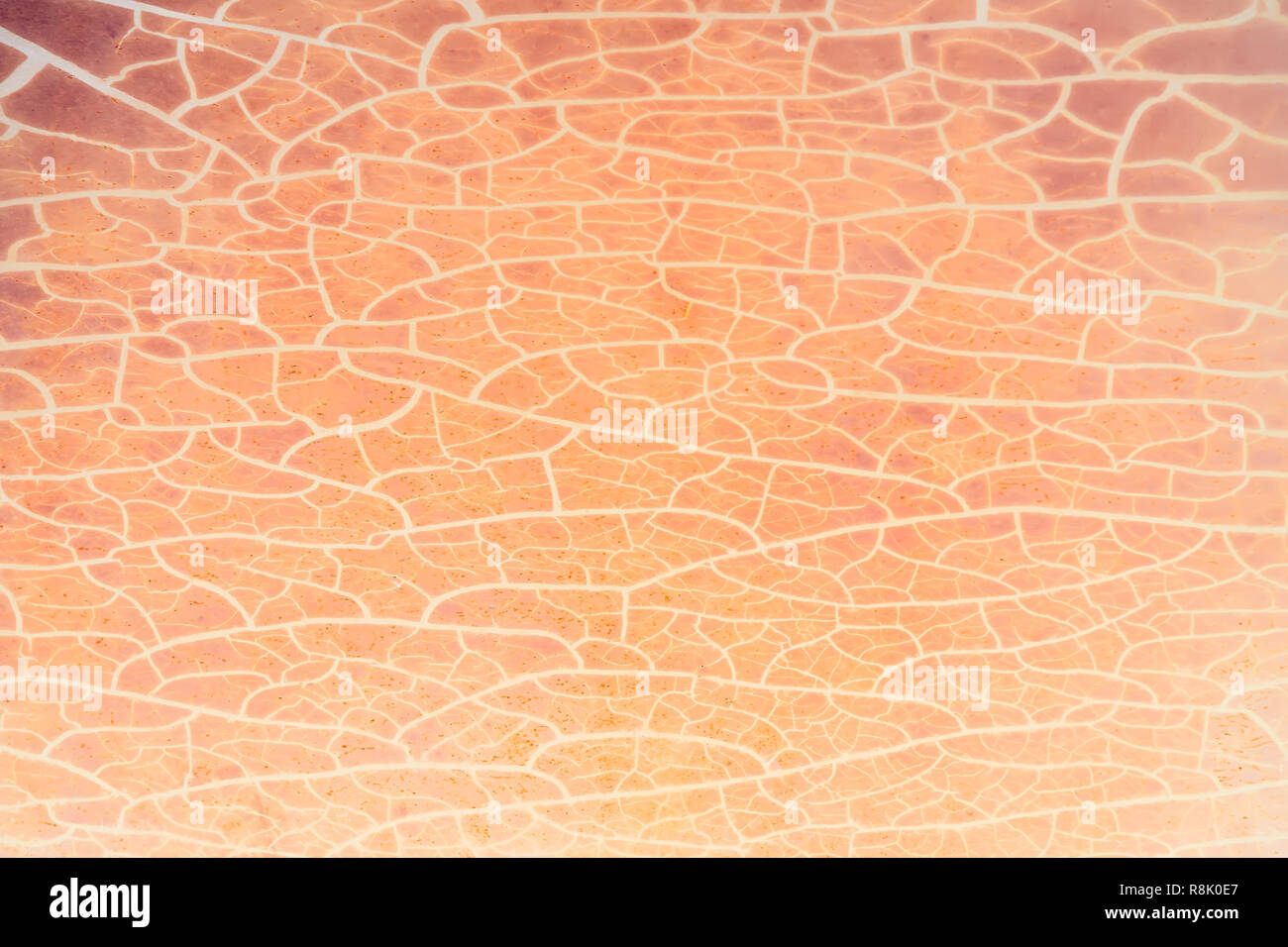 Abstract cracked pattern on dry plastic surface texture.Cracking ...