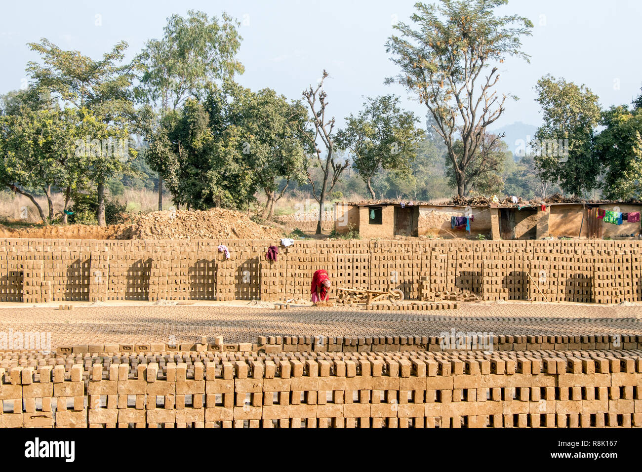 Row soil mud bricks place in open to drying. labour woman making bricks ...