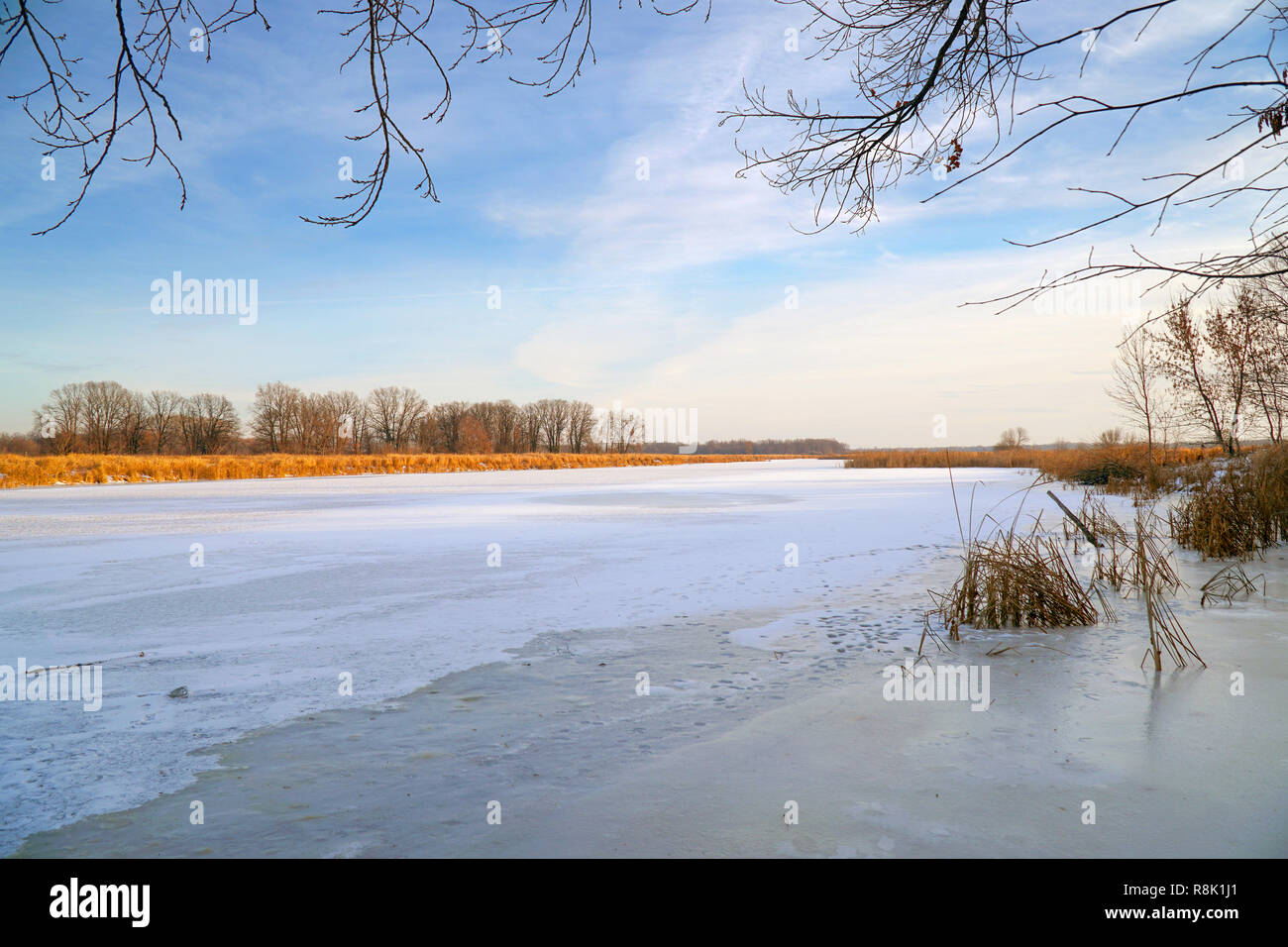 Frozen river, forest in the distance, dry sedge and blue cloudy sky ...