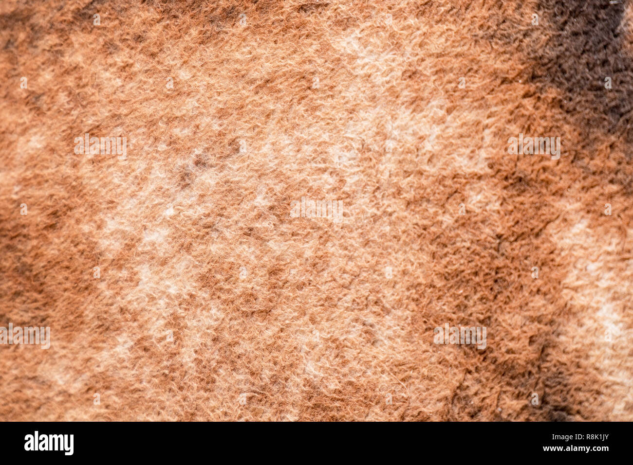 Light brown wool texture for background Stock Photo - Alamy