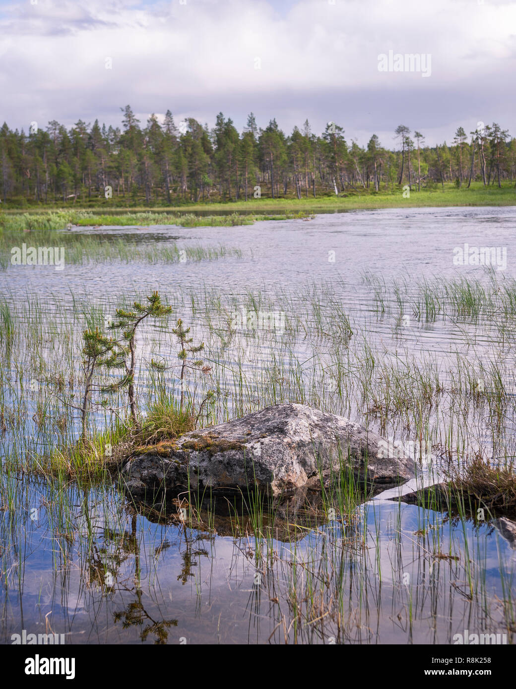 Lapland summer landscape.Beautiful lake Stock Photo - Alamy