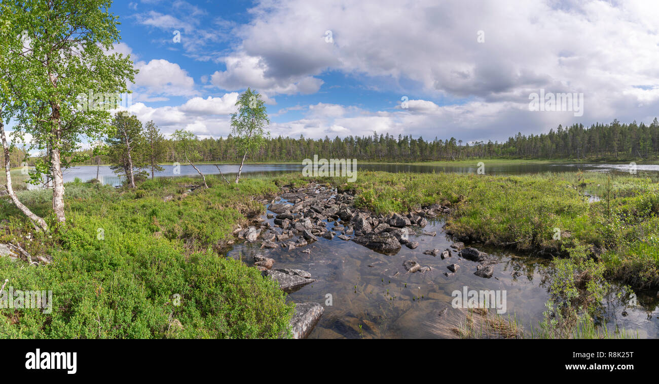 Lapland summer landscape.Beautiful lake Stock Photo - Alamy