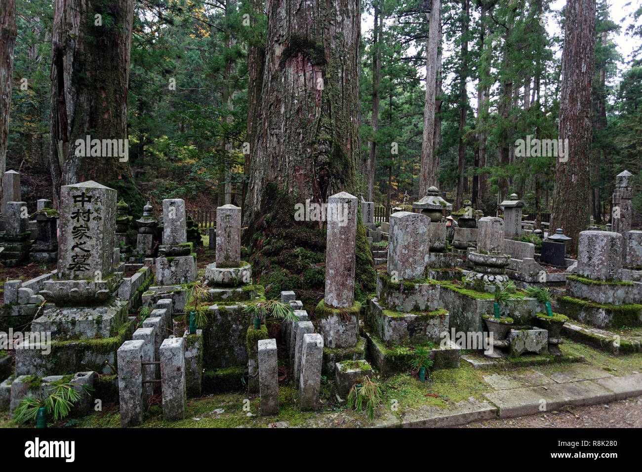 A path through the Oku-no-in ancient Buddhist cemetery in Koyasan (高野山 ...