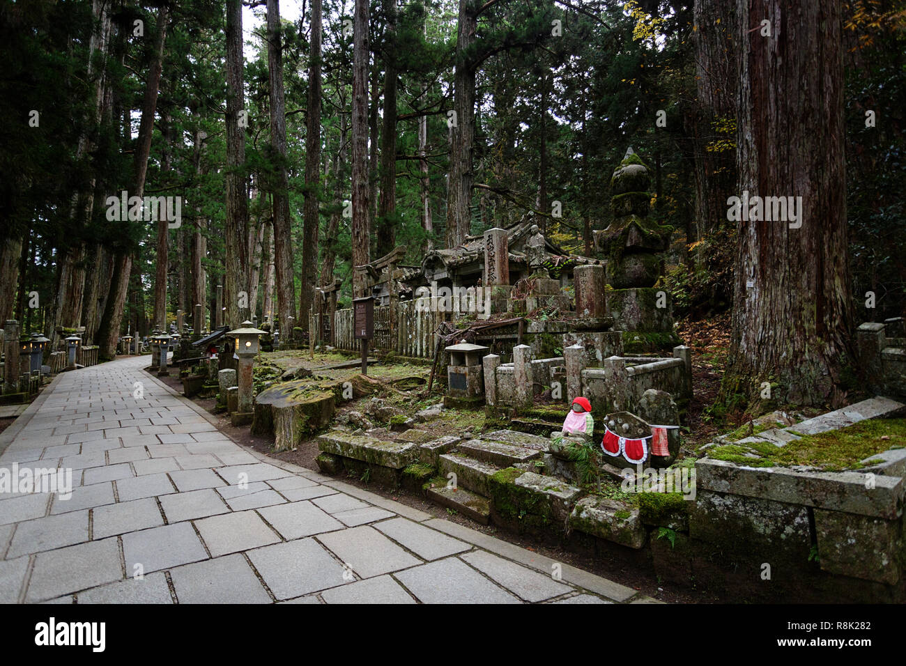 A path through the Oku-no-in ancient Buddhist cemetery in Koyasan (高野山 ...