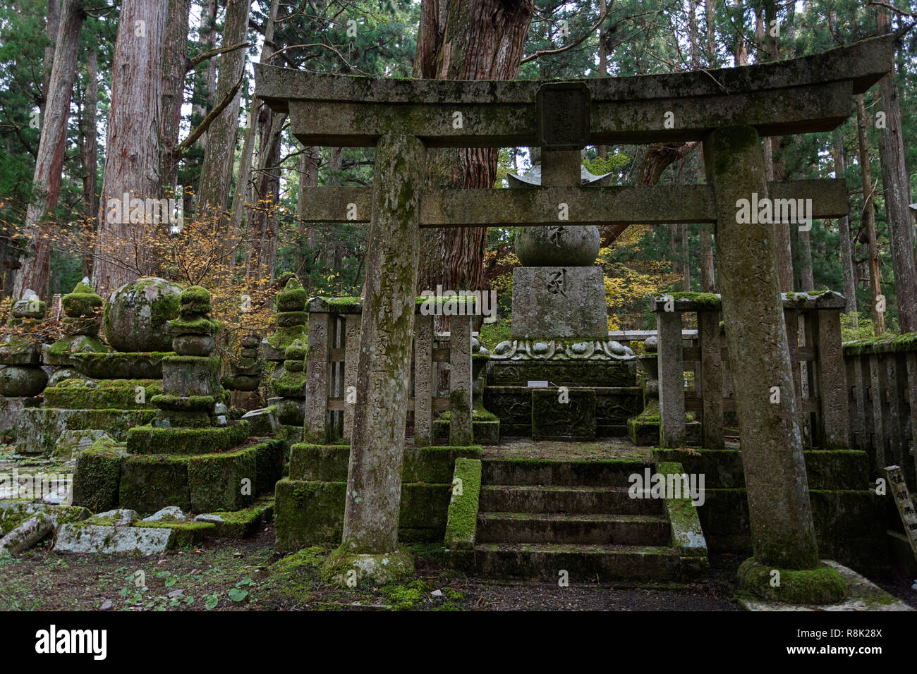 A path through the Oku-no-in ancient Buddhist cemetery in Koyasan (高野山 ...