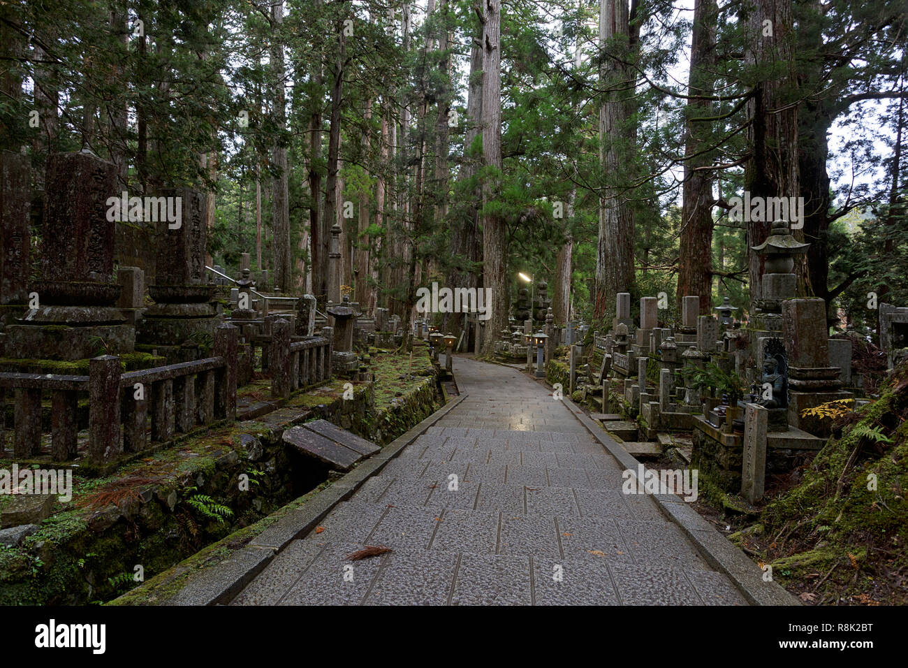 A path through the Oku-no-in ancient Buddhist cemetery in Koyasan (高野山 ...