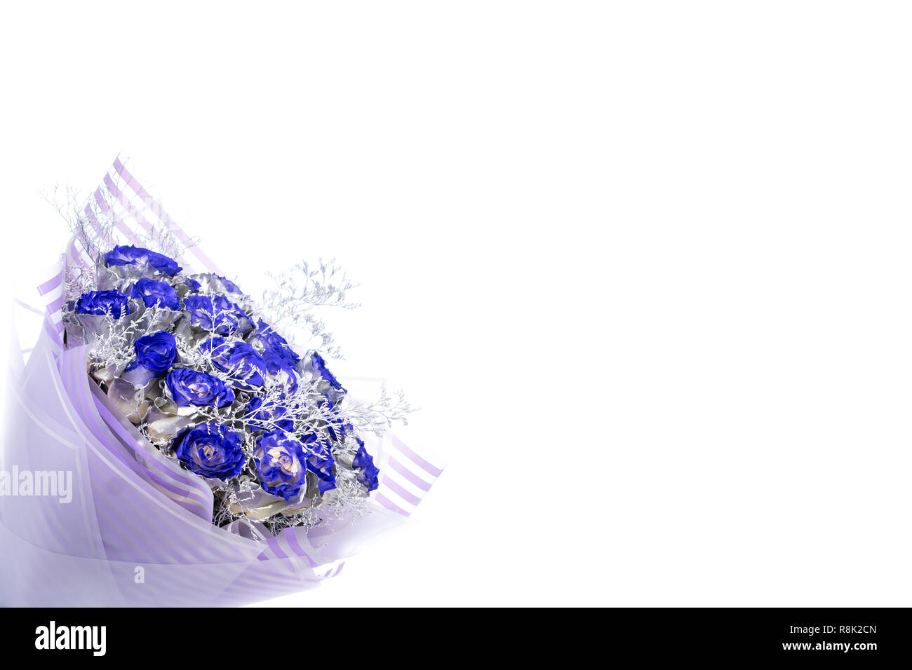Bouquet of blue roses, corner composition with copyspace, on white ...