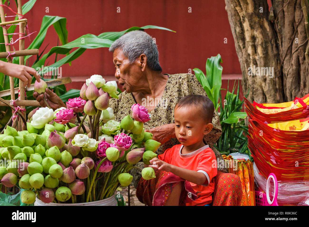 Old Woman Selling Flowers High Resolution Stock Photography and Images ...