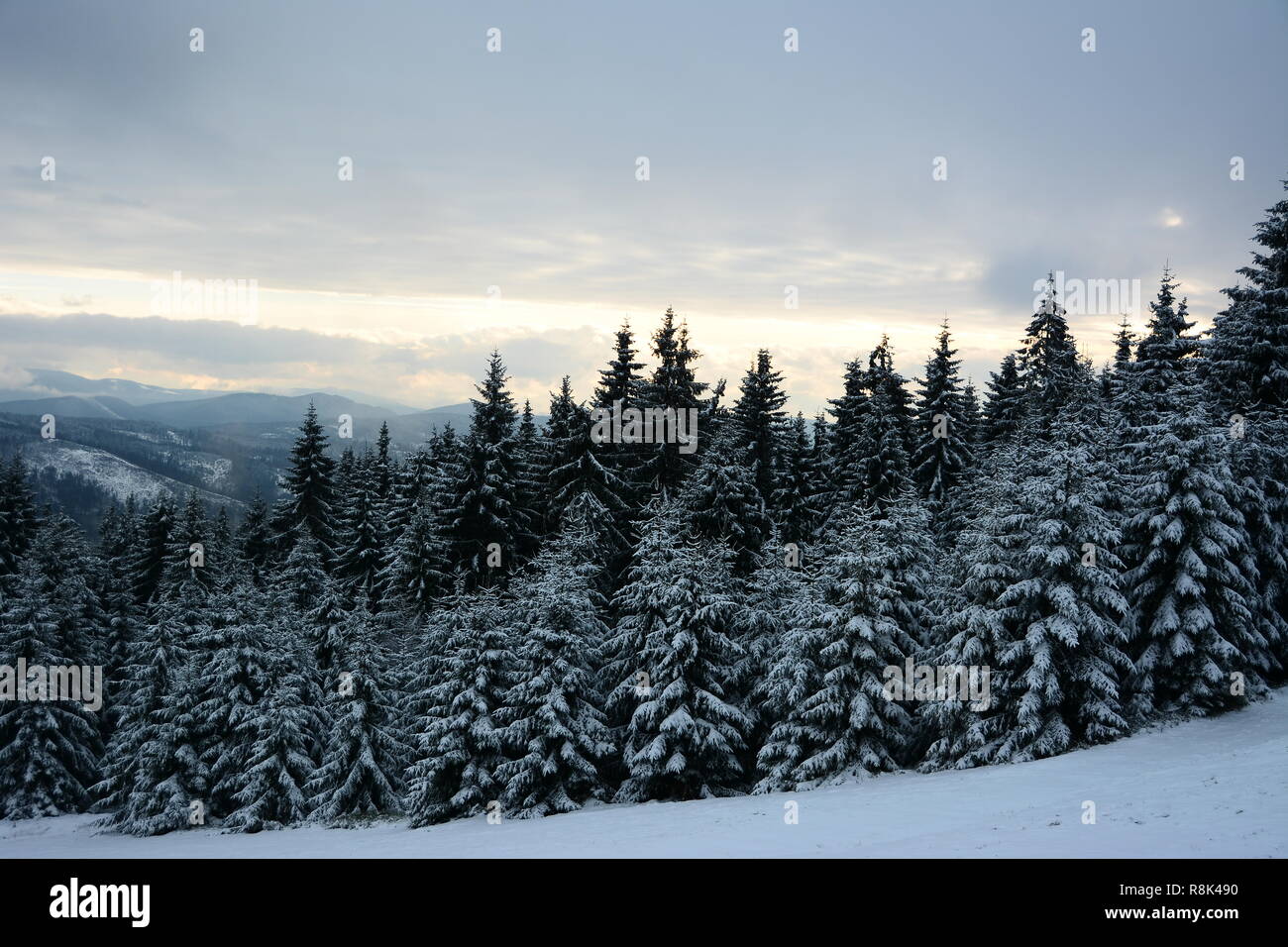 Winter in Poland, Snow in Mountains, Winter Landscape Stock Photo - Alamy