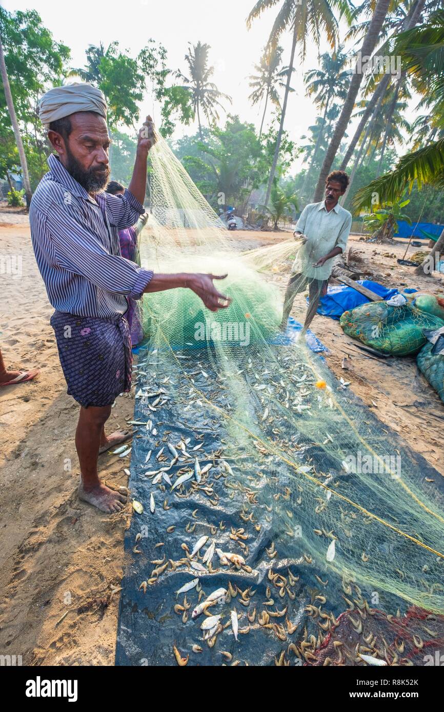 India, state of Kerala, Mararikulam, Marari Beach, fishermen collecting ...