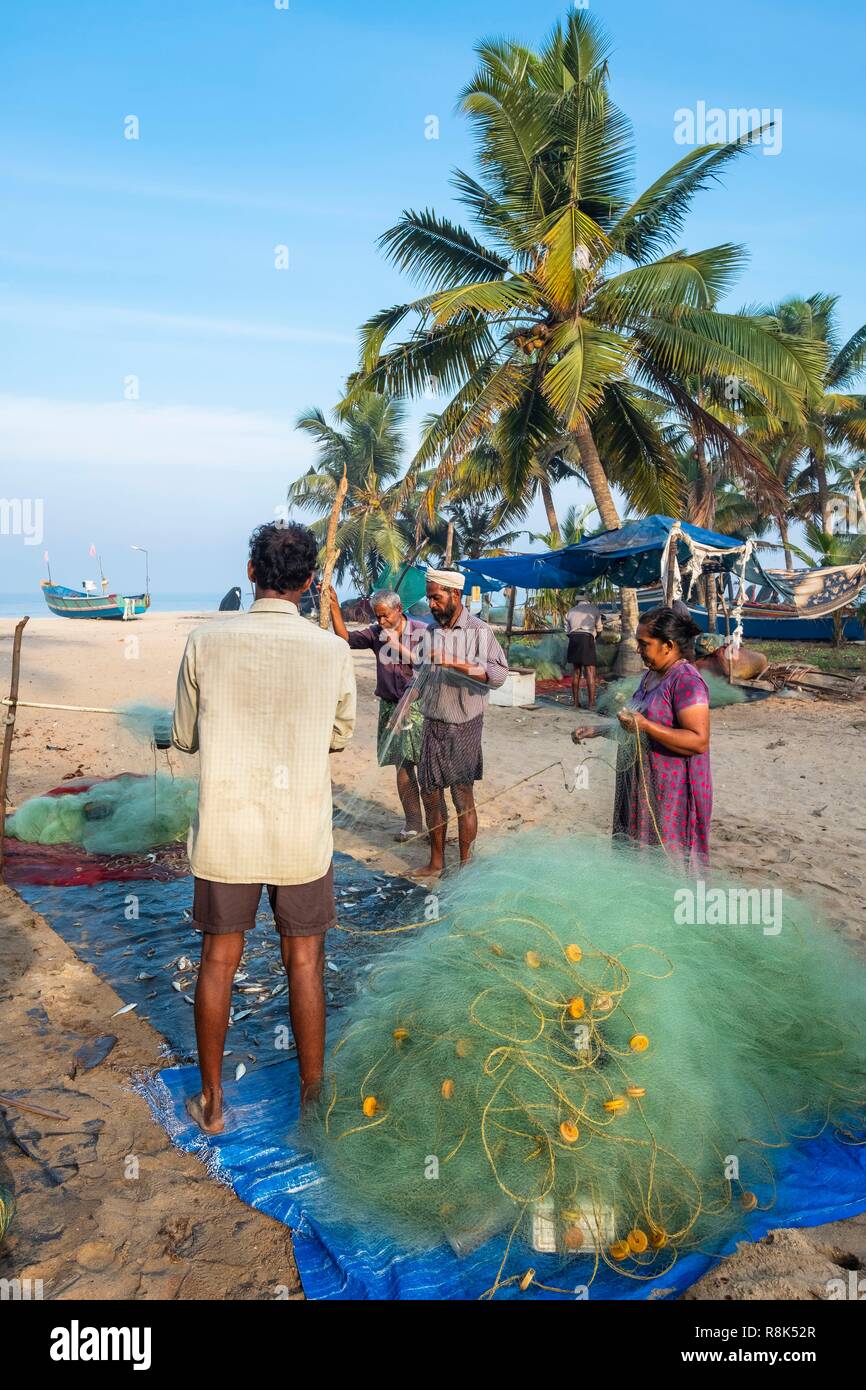 India, state of Kerala, Mararikulam, Marari Beach, fishermen collecting ...