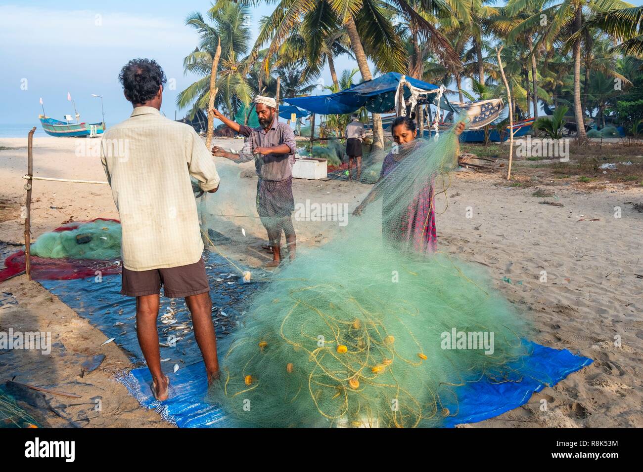 India, state of Kerala, Mararikulam, Marari Beach, fishermen collecting ...