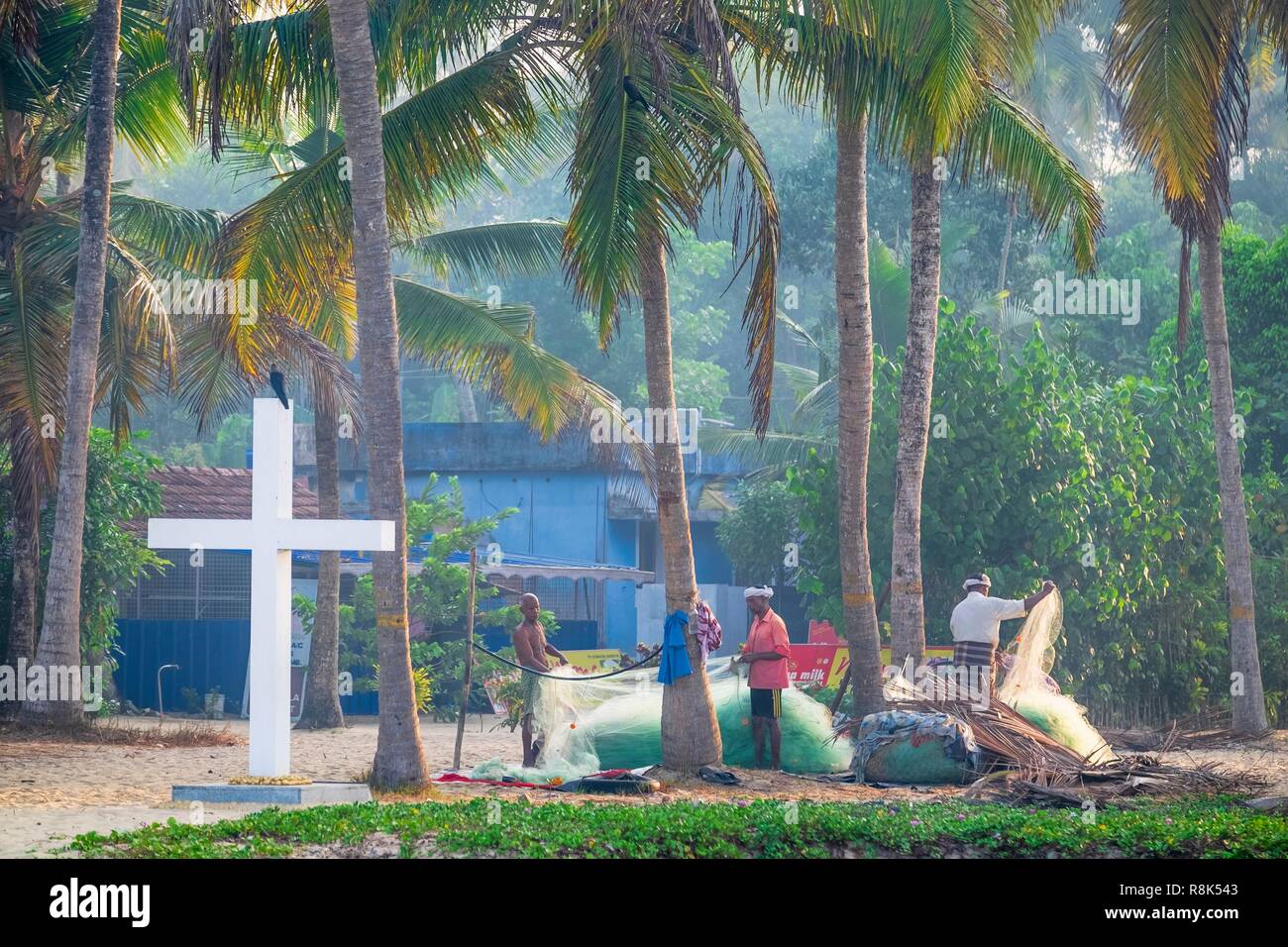 India, state of Kerala, Mararikulam, Marari Beach, fishermen collecting ...