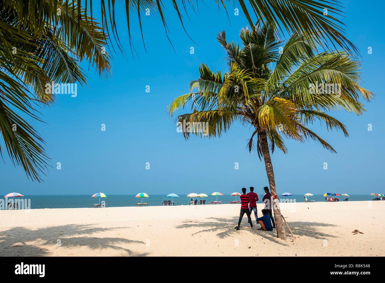 India, state of Kerala, Mararikulam, Marari Beach, long beach lined ...