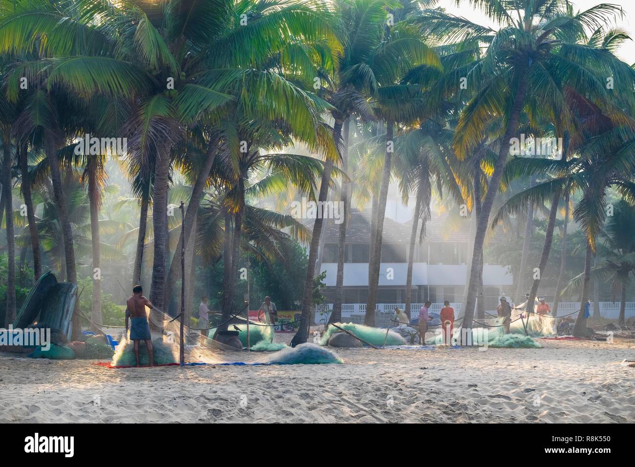 India, state of Kerala, Mararikulam, Marari Beach, fishermen collecting ...