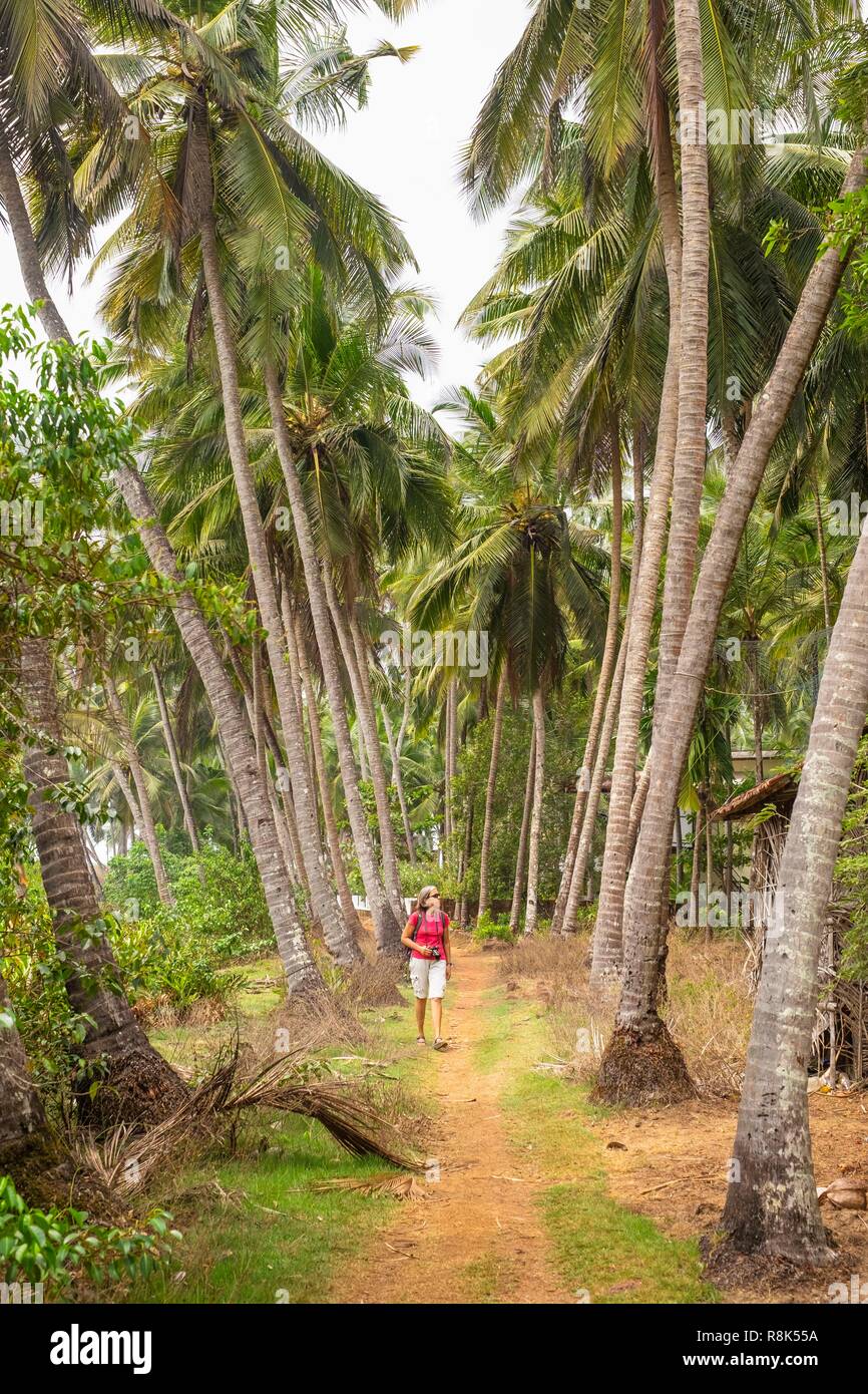 India, state of Kerala, surroundings of Kannur (Cannamore), Thottada ...