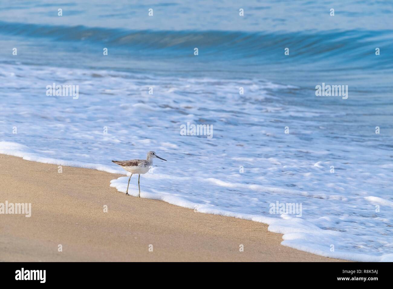 Vypin island kochi hi-res stock photography and images - Alamy