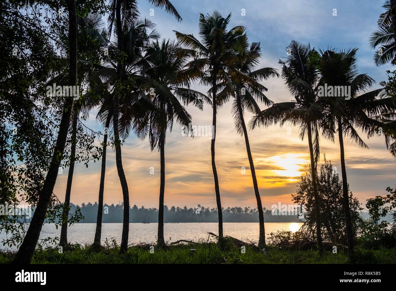 India, state of Kerala, Vypin island (suburb of Kochi), lagoon behind ...