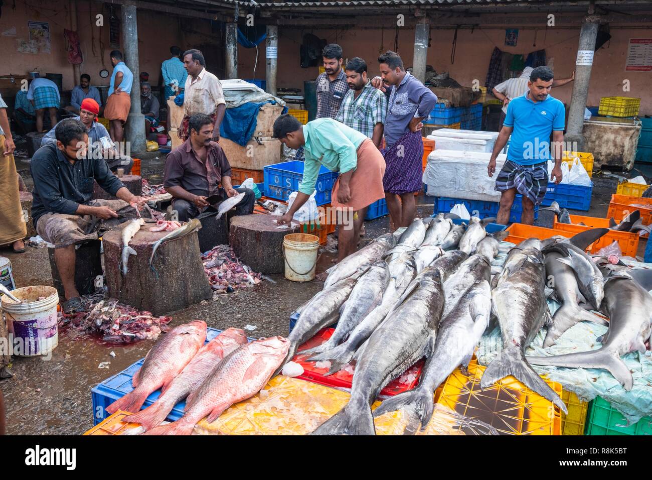 India, state of Kerala, Kozhikode or Calicut, at the fish market Stock ...