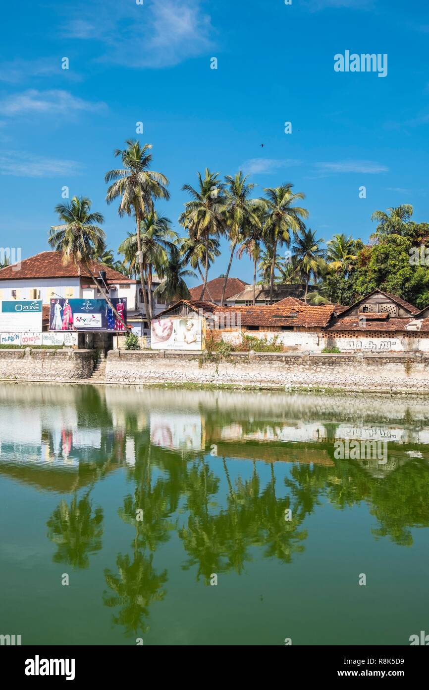 India, state of Kerala, Kozhikode or Calicut, Kuttichira district, tank ...