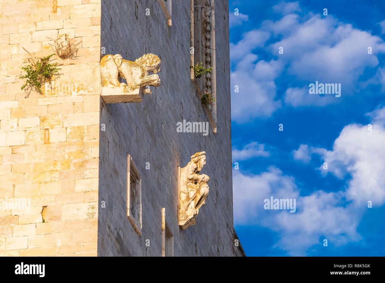 Italy, Apulia, Trani, San Nicola Pellegrino Cathedral (or Duomo ...