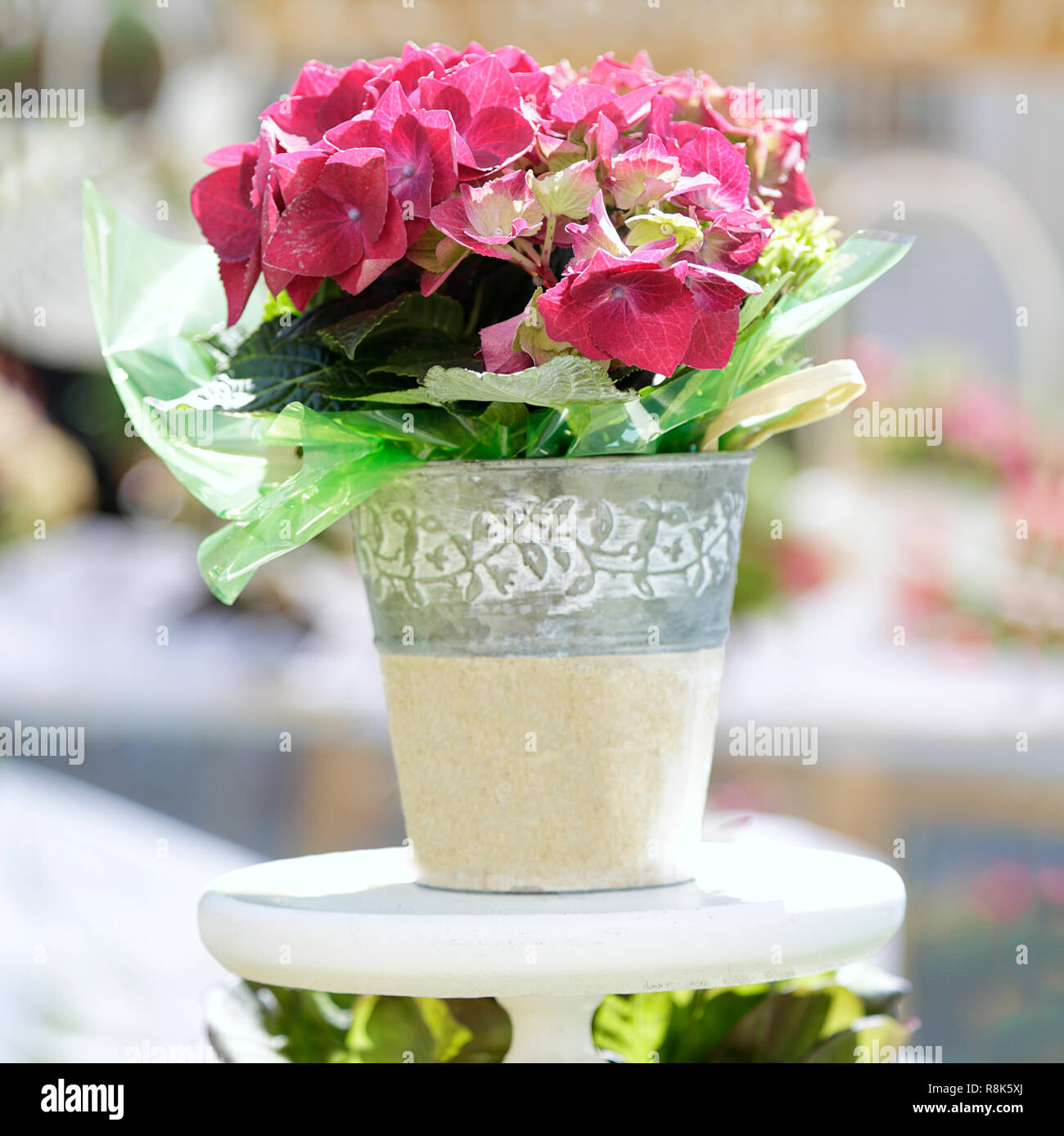 Metal pot with pink flowers on a pedestal Stock Photo - Alamy