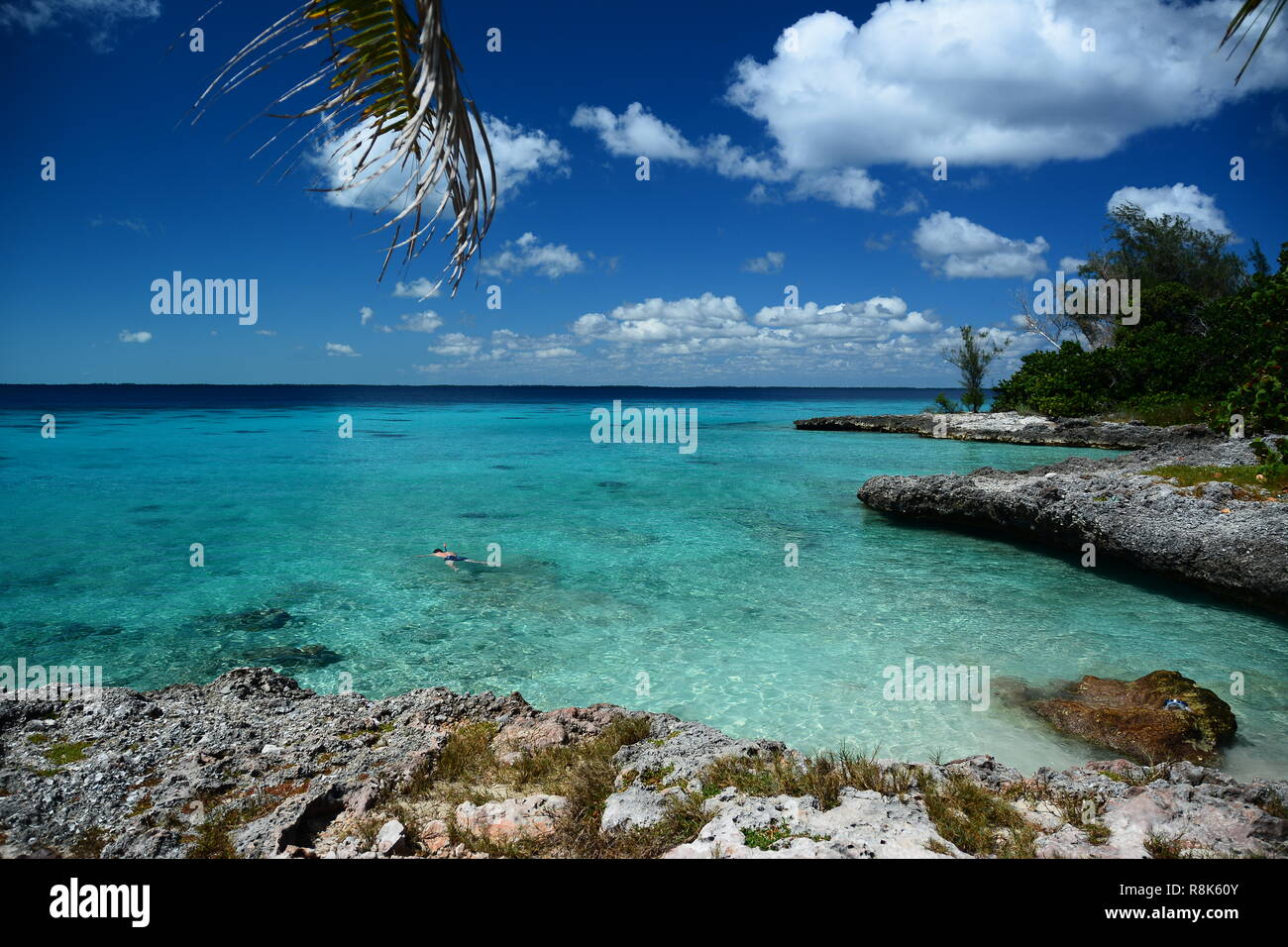 Beautiful beach in Cuba, perfect destination for snorkeling Stock Photo ...