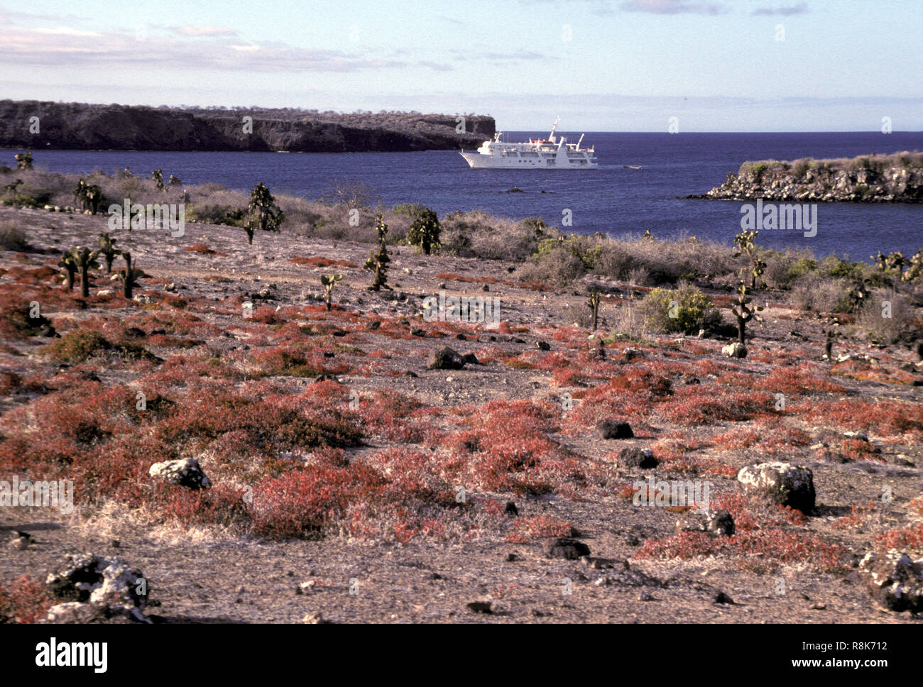 Isabela ii hi-res stock photography and images - Alamy