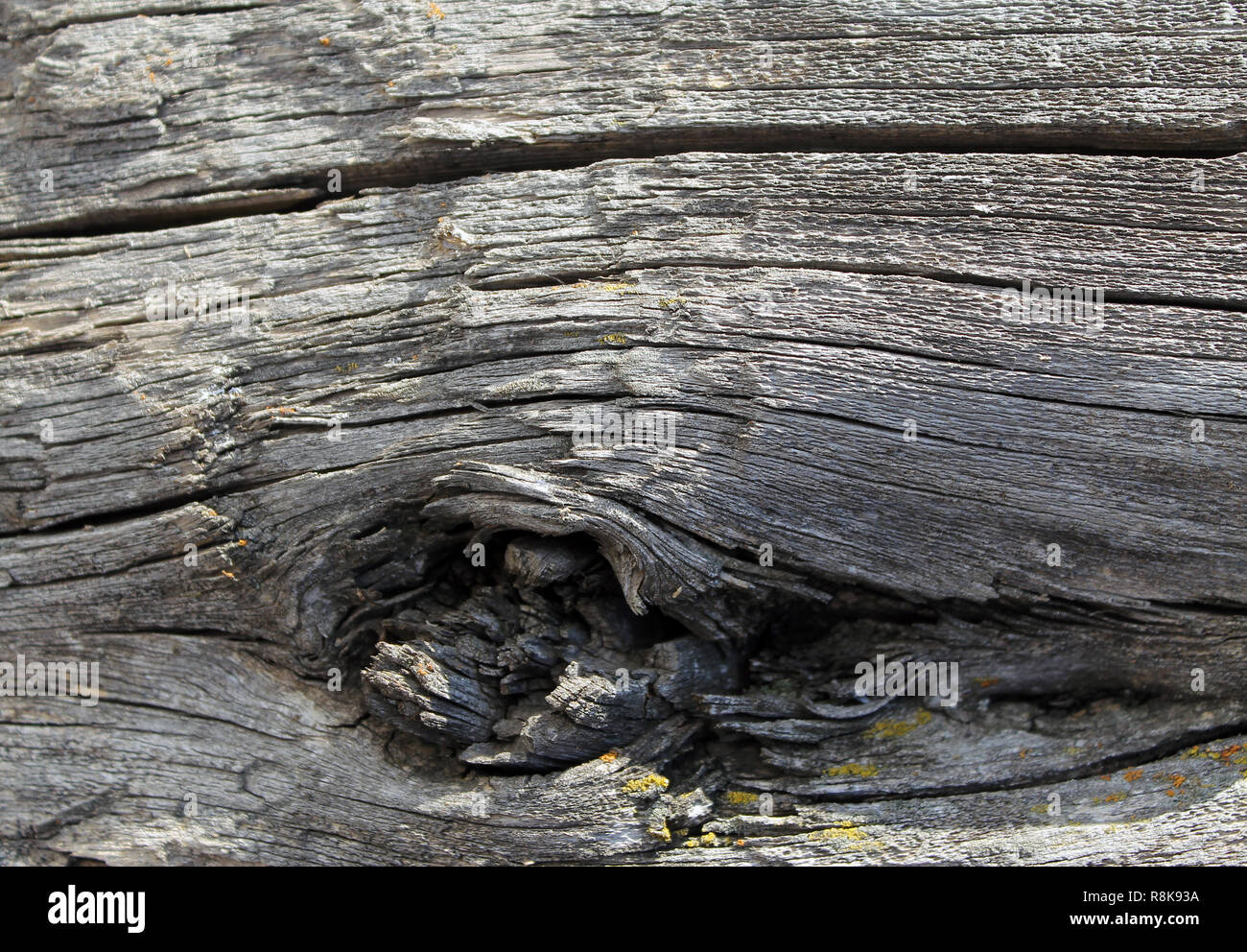 The old wood texture with natural patterns. Inside the tree background ...