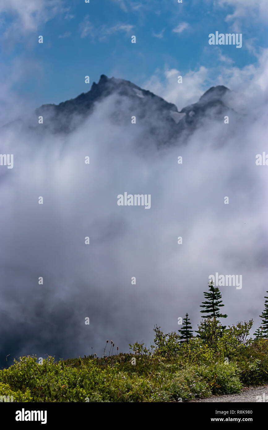 heavy clouds on summer day in rugged wilderness with mountain and trees ...