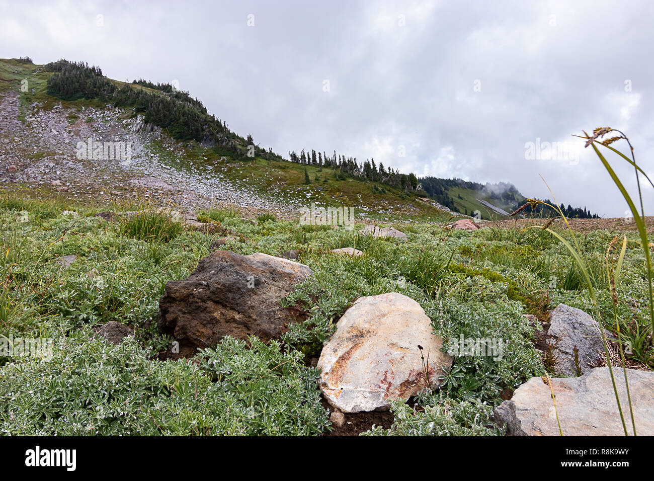 Subalpine valley hi-res stock photography and images - Alamy