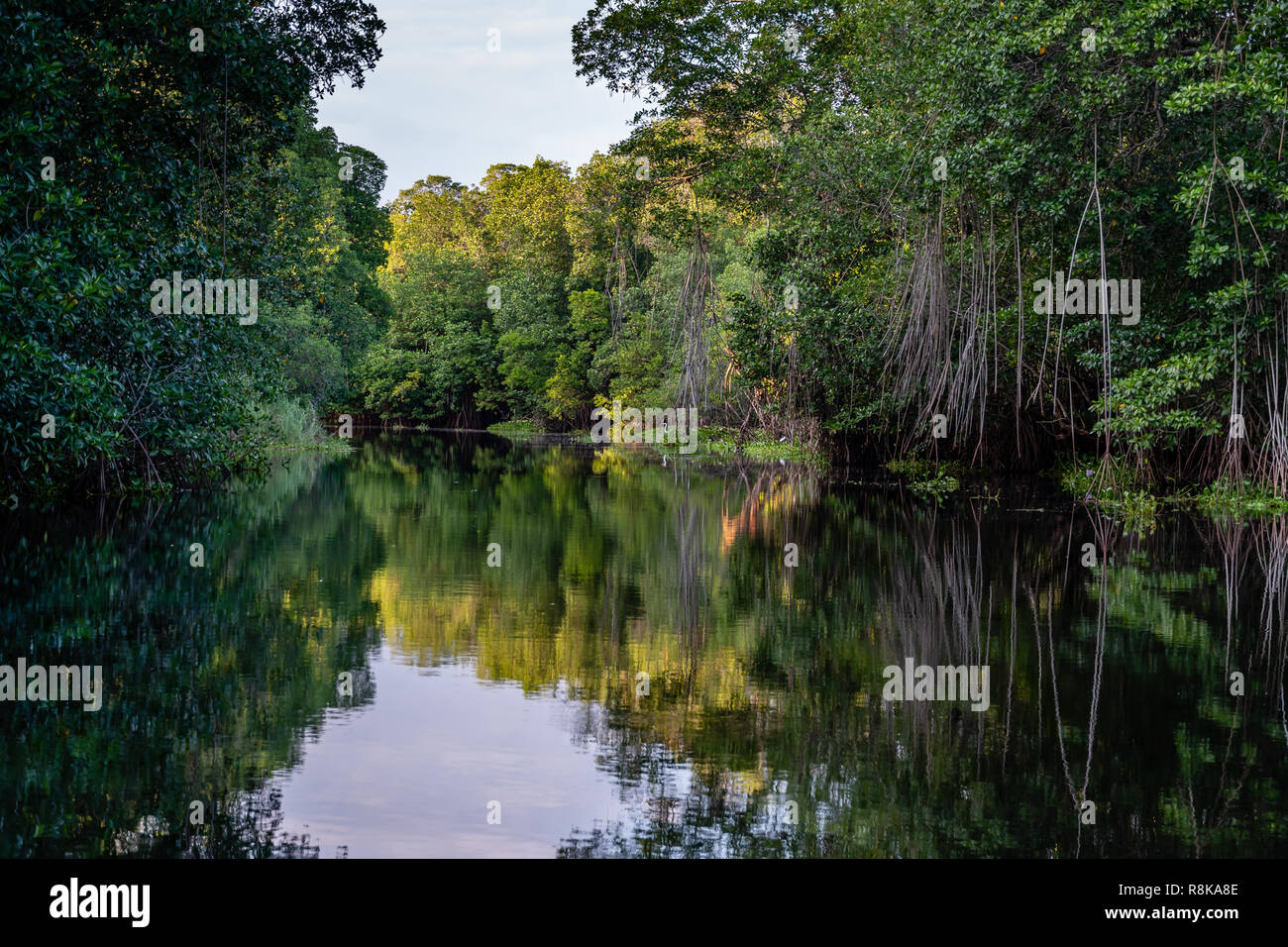 view of Guatemalan river Stock Photo - Alamy